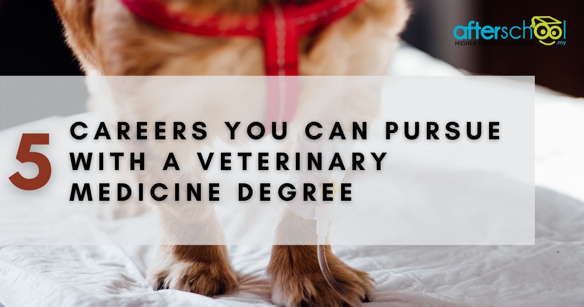 5 Careers You Can Pursue with Veterinary Medicine Degree
